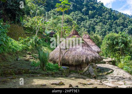 Indigenous Kogi tribal huts near the Lost City/Ciudad Perdida in ...