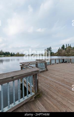 Lake Boren Park Wetlands from a fishing dock in Newcastle, Washington ...