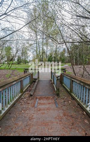 Lake Boren Park Wetlands from a fishing dock in Newcastle, Washington ...