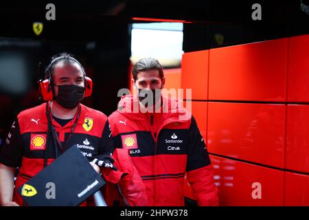 Antonio Giovinazzi former f1 driver with Alfa Romeo Sauberduring the ...