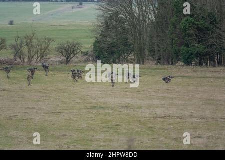 army soldiers on a military tabbing exercise with 40Kg bergen and anti ...