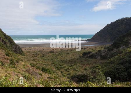 Marine landscape. Waitakere Ranges Regional Park - northern end of ...