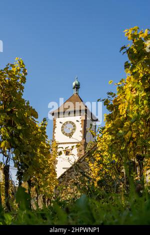 Germany, Freiburg im Breisgau, A Grape Harvest mural in central ...