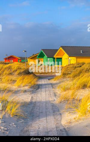 Colourful bungalow holiday homes, wooden houses, blue sky, dune grass ...