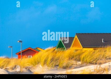 Colourful bungalow holiday homes, wooden houses, blue sky, dune grass ...