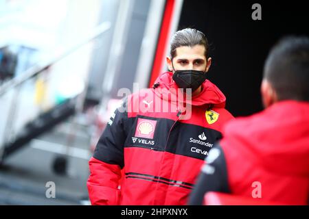 Antonio Giovinazzi former f1 driver with Alfa Romeo Sauberduring the ...