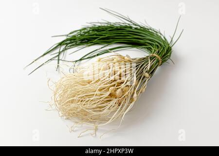 wild chive on a white background Stock Photo - Alamy