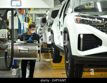 Beijing, China's Hebei Province. 3rd Feb, 2022. Eva Pinkelnig of ...