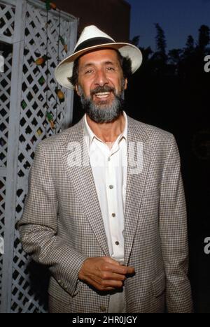 Richard Libertini Circa 1980's Credit: Ralph Dominguez/MediaPunch Stock ...