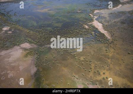 Rivers and marshes in the Senegal River Delta, northern Senegal, West ...