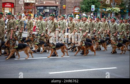 Ukraine, Kiev - August 18, 2020: Border guards with shepherd dogs. The ...