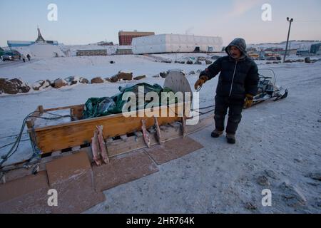 Arctic char in front of white background Stock Photo - Alamy