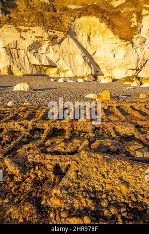 The wreck of SS Falcon, owned by the General Steam Navigation Company ...