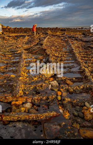 The wreck of SS Falcon, owned by the General Steam Navigation Company ...