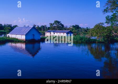 Houseboats on River Amazon, near Manaus, Brazil Stock Photo - Alamy