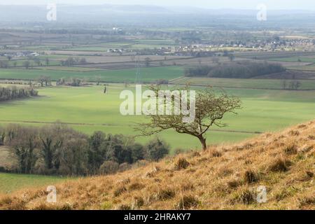 View of the Wiltshire countryside from Olivers Castle, Roundway Hill ...