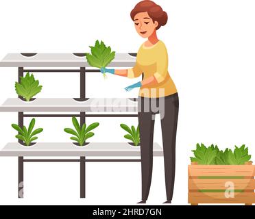 Greenhouse vertical farming hydroponics aeroponics cartoon composition ...