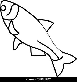 Asian Carp Drawing