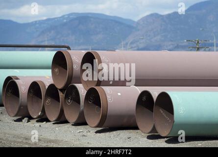 Pipes are seen at the pipe yard at the Transmountain facility in ...