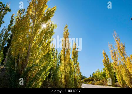 Sunny view of the fall color of Valyermo of Los Angeles County at ...