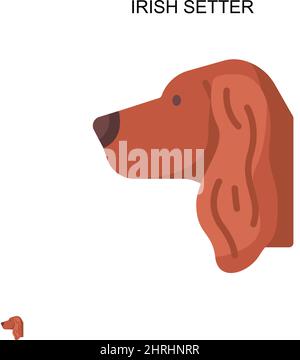 Irish Setter Vector Illustration Stock Vector Image & Art - Alamy