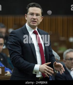 Conservative MP Pierre Poilievre rises during Question Period in the ...