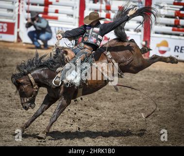 Zeke Thurston, of Big Valley, Alta., rides Art Walls during saddle ...