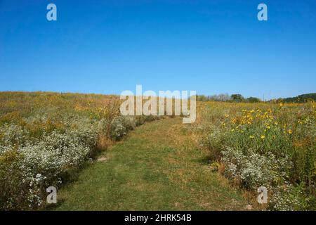 Hiking trails in the Kettle Moraine area of Wisconsin, USA Stock Photo ...