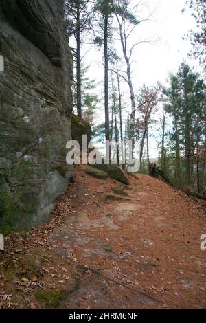 Pentenwell Bluff in Necedah, Wisconsin Stock Photo - Alamy