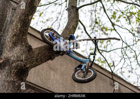 Blue rusty children's bike chained to a tree in Budapest, Hungary Stock ...