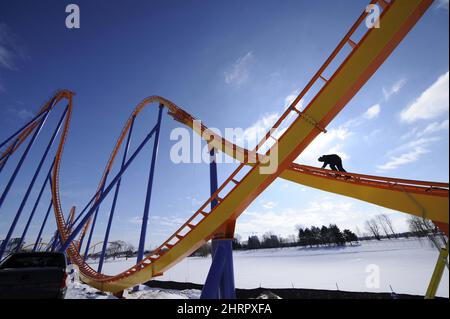 "Behemoth" roller coaster at Canada's Wonderland Toronto Stock Photo ...