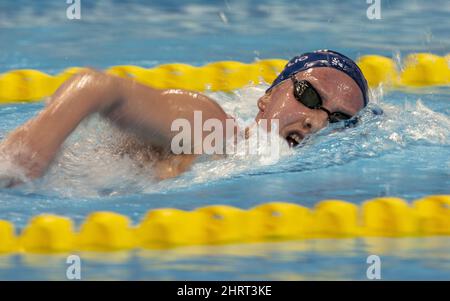 Katrina Bellio swims her way to first place in the Womenâ€™s 1500m ...