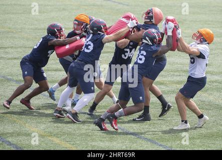 Montreal Alouettes players are shown during training camp ahead of the ...