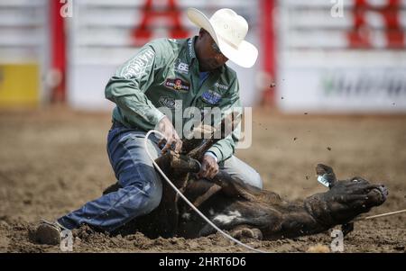 Cory Solomon of Prairie View, Texas comes off his horse in the tie-down ...