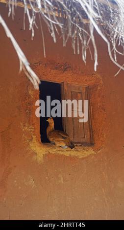 Beautiful view from Montepuez, Mozambique Stock Photo - Alamy