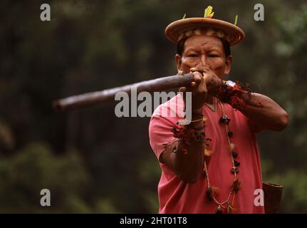 Indigenous man; using blowgun; weapon, long rod, skill, native tribe ...