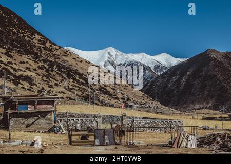Beautiful view of a valley and tibean snow mountain in the background ...