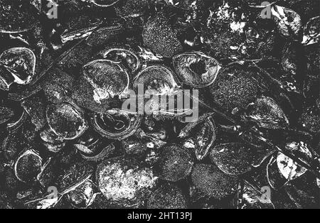 Distressed overlay closeup texture of chestnut. grunge black and white ...