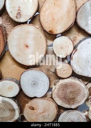 A vertical shot of wood circles pattern of cut tree trunks Stock Photo ...