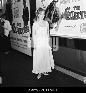 Film - Julia Foster. Actress Julia Foster Stock Photo - Alamy
