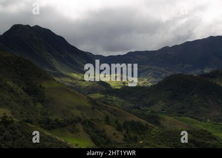 Typical vegetation of the area near Popayan, Colombia Stock Photo - Alamy