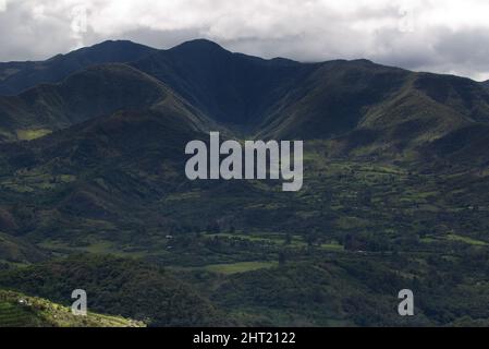 Typical vegetation of the area near Popayan, Colombia Stock Photo - Alamy