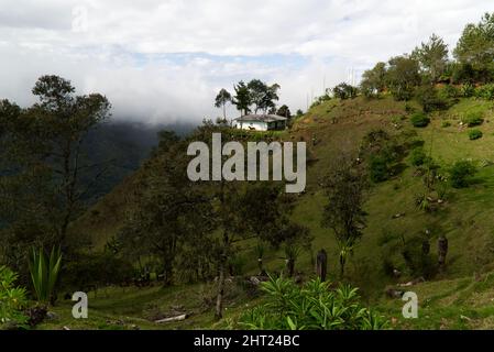 Typical vegetation of the area near Popayan, Colombia Stock Photo - Alamy
