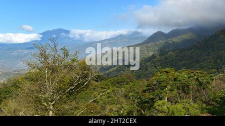 Tropical rainforest, Baru volcano national park, Chiriqui, Panama ...