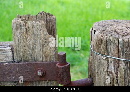 Closeup shot of metal hinges on a wooden door Stock Photo - Alamy