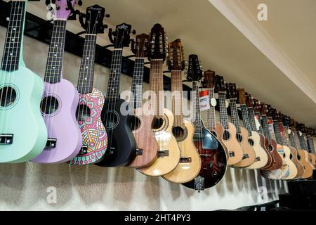 Closeup of different ukuleles on the display in a music store in ...