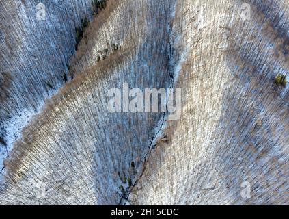 Beautiful shot of the Calimani mountains seen from above in winter ...