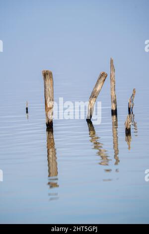 A vertical shot of a river in the woods Stock Photo - Alamy
