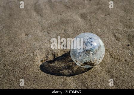 A discarded glass bulb smeared with sand on the banks of the Danube ...