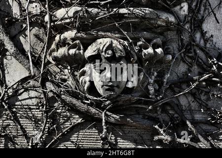 Majestic medieval stone face of a young man with a strong Gothic ...